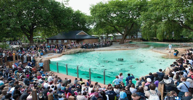 Spend Vouchers On London Zoo At Tesco spend-vouchers-on-london-zoo-at-tesco