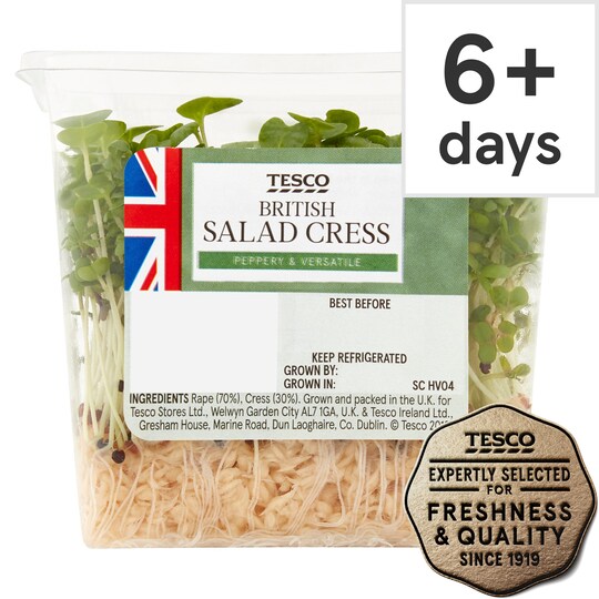 T.Growing Salad Cress Punnet Each - Tesco Groceries