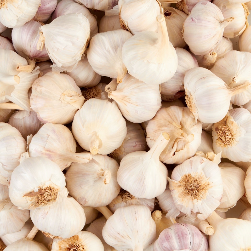 Tesco Garlic Each - Tesco Groceries