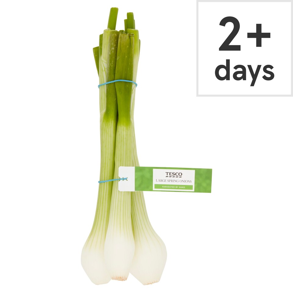Tesco Large Spring Onions Bunched 130G - Tesco Groceries