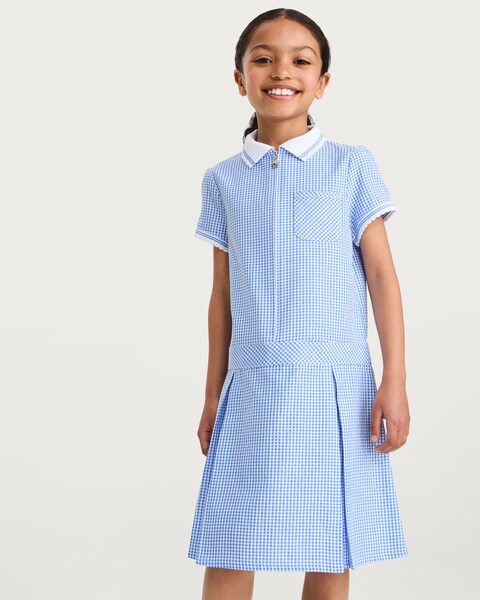 F&F School Girls 2-Pack Gingham Pleated Dresses in Blue - Tesco Groceries