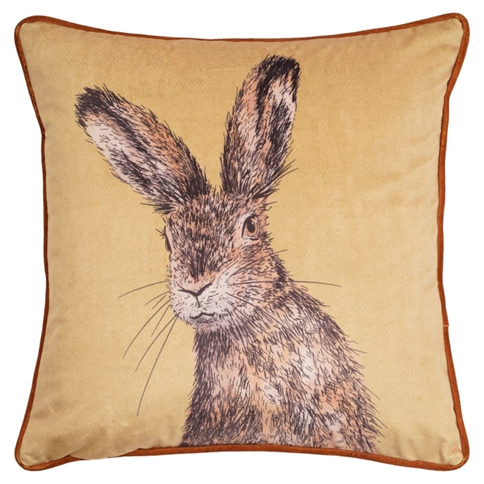Tesco Velvet Hare Cushion - Tesco Groceries