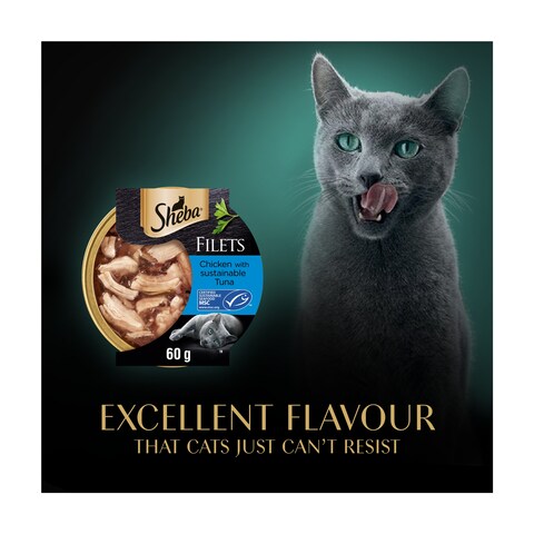 Sheba Fillets Wet Cat Food Tray with Chicken & Tuna in Gravy 60g ...