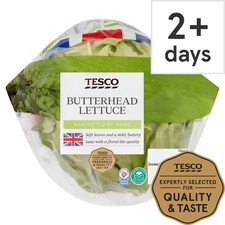Iceberg & Round Lettuce - Tesco Groceries