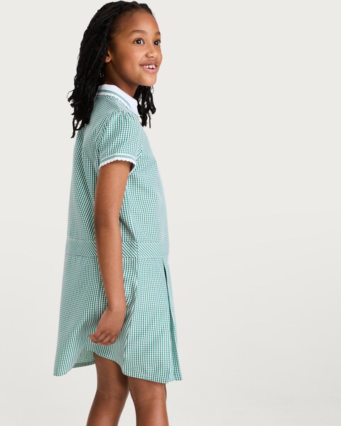 F&F School Girls 2-Pack Gingham Pleated Dresses in Green - Tesco Groceries