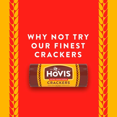 Jacob's Hovis Digestives Biscuits 250G - Tesco Groceries