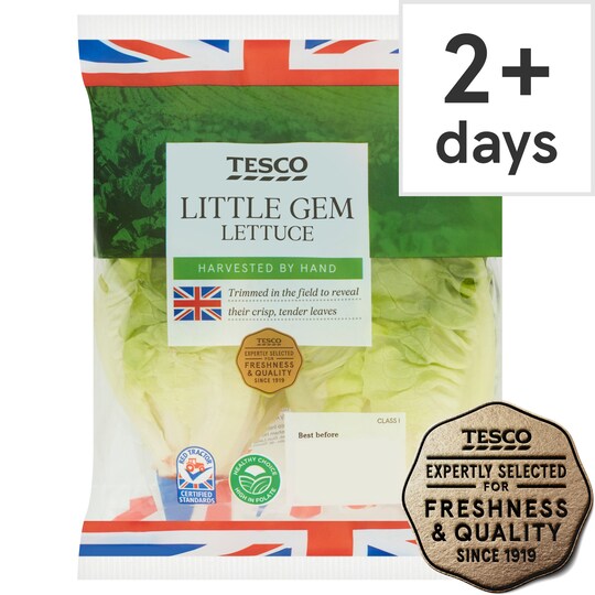 Tesco Little Gem Lettuce 2 Pack - Tesco Groceries