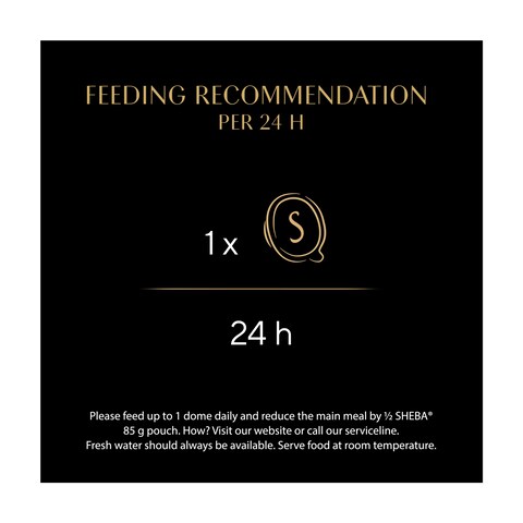 Sheba Fillets Wet Cat Food Tray with Chicken in Gravy 60g - Tesco Groceries