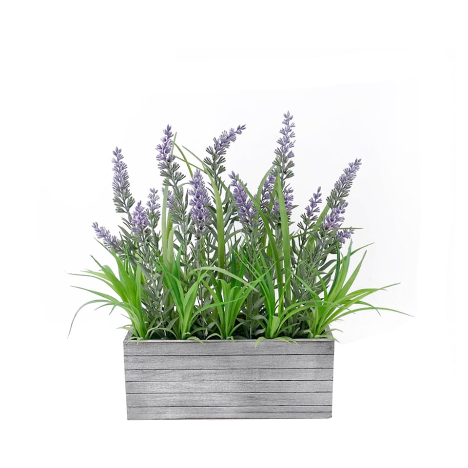 Bayswood Lavender Window Box - Tesco Groceries