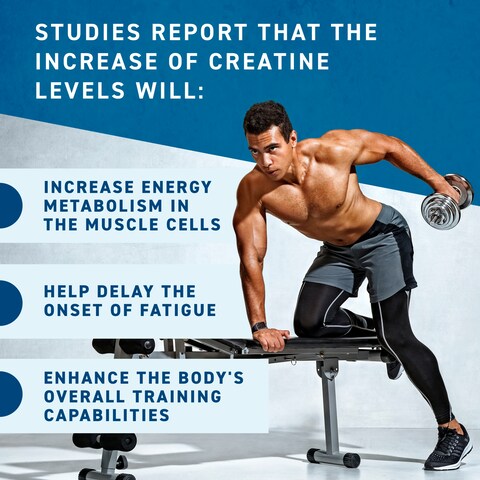 Applied Nutrition Creatine Monohydrate Powder 250g - Tesco Groceries