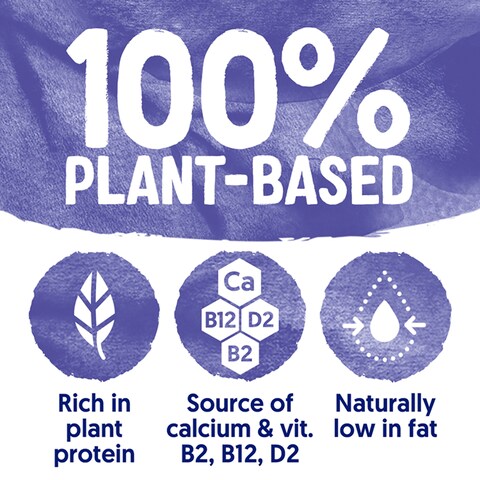 Alpro Blackberry Raspberry & Cranberry Soya Dairy Free Yoghurt ...