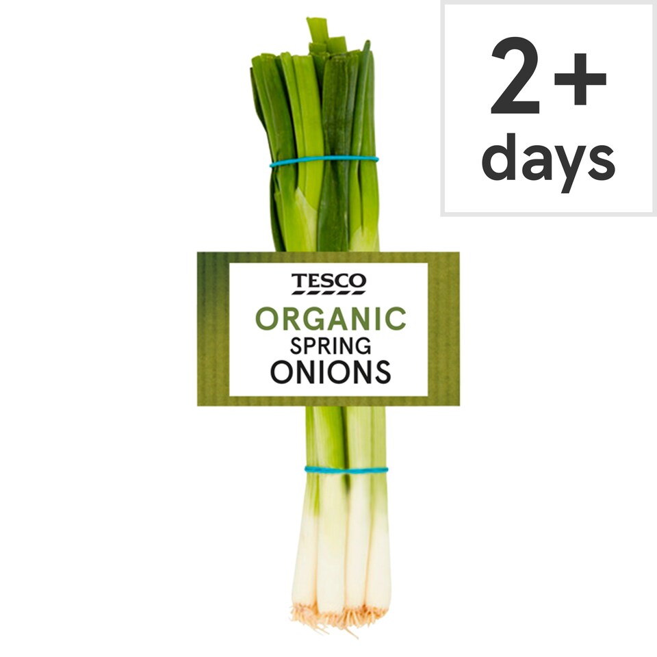 Tesco Organic Spring Onions 100G - Tesco Groceries