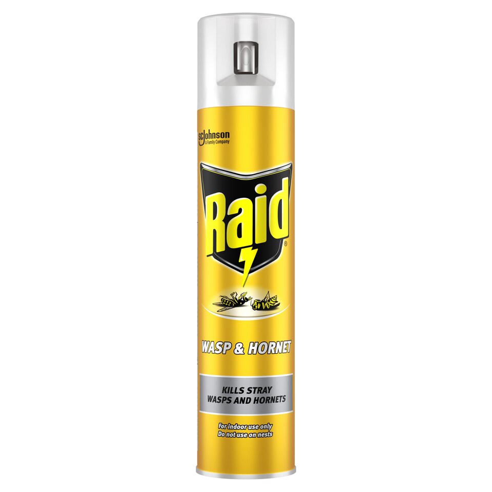 Raid Wasp & Hornet 300ml - Tesco Groceries