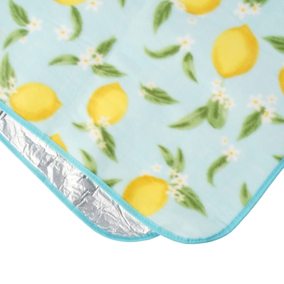 Tesco Lemon Picnic Rug - Tesco Groceries