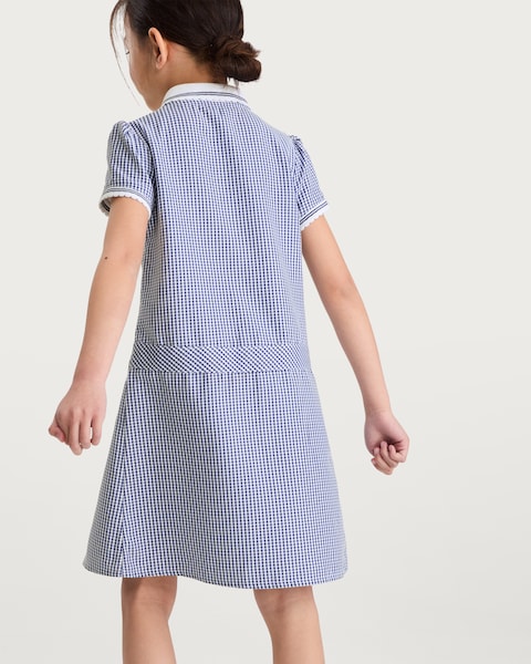 F&F School Girls 2-Pack Gingham Pleated Dresses in Navy - Tesco Groceries