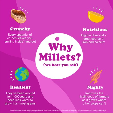 Joyfull Millets Fruit & Nut Crunchy Muesli 450g - Tesco Groceries