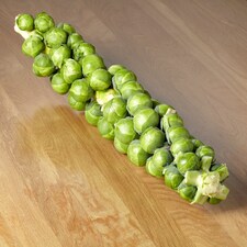 Tesco Brussels Sprout Stalk Each - Tesco Groceries