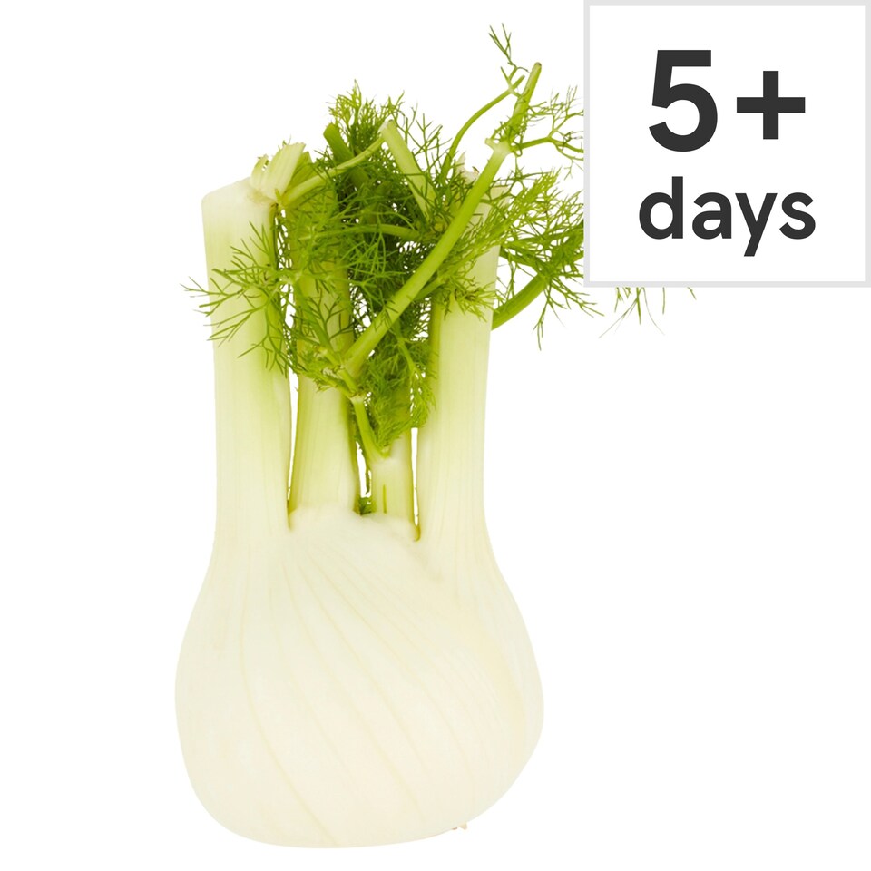 Tesco Fennel Each - Tesco Groceries