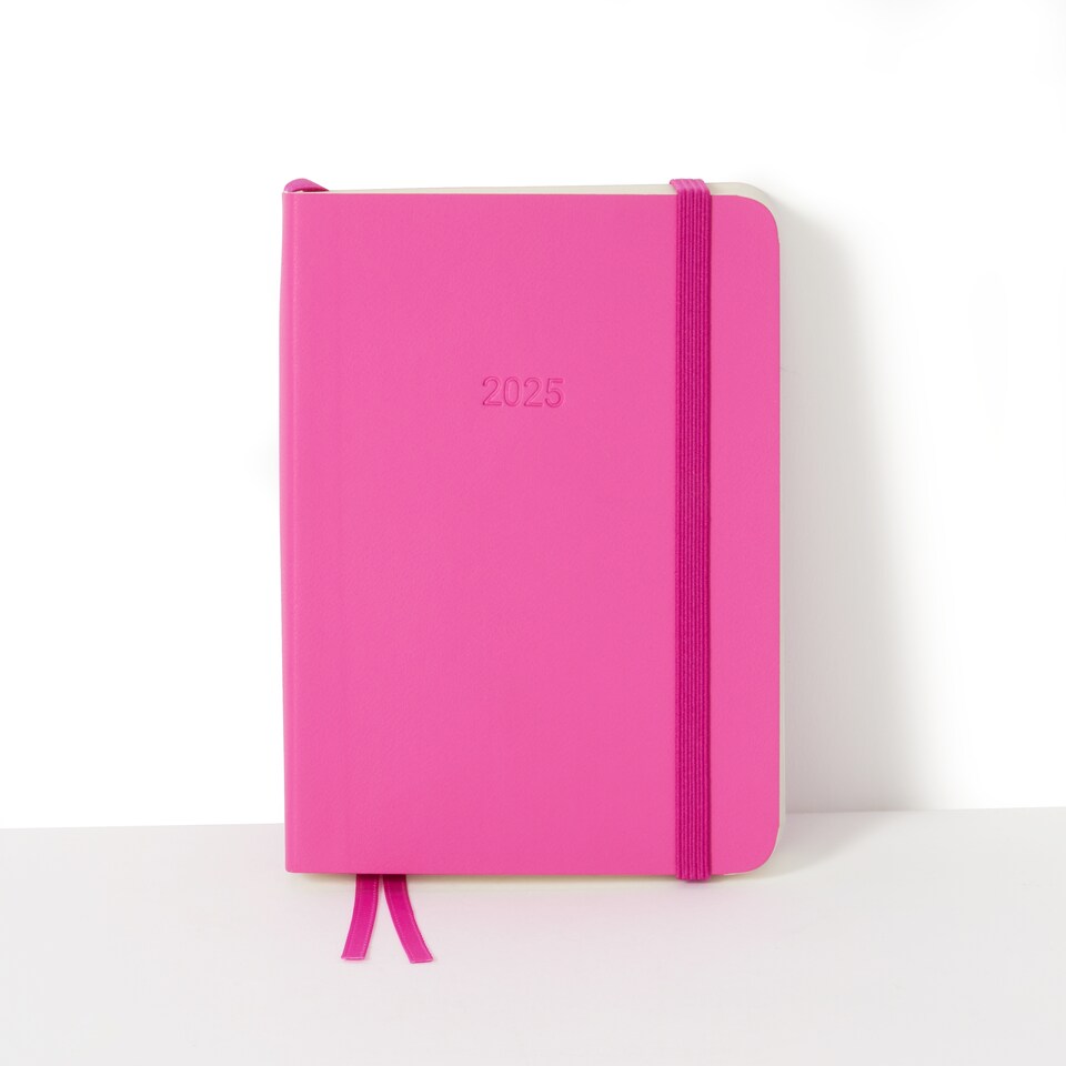 Agenzio Soft Touch Small 2025 Diary Radish - Tesco Groceries