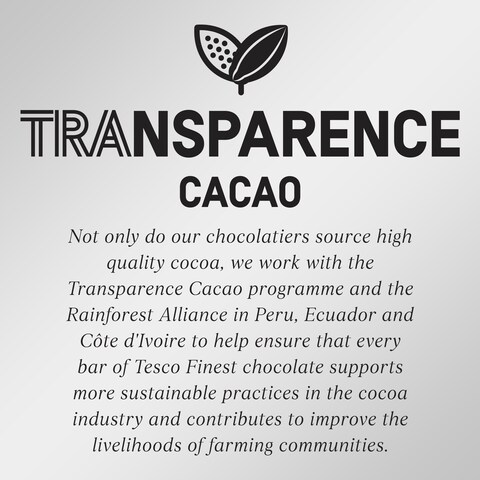 Tesco Finest Mint 47% Dark Chocolate 100g - Tesco Groceries