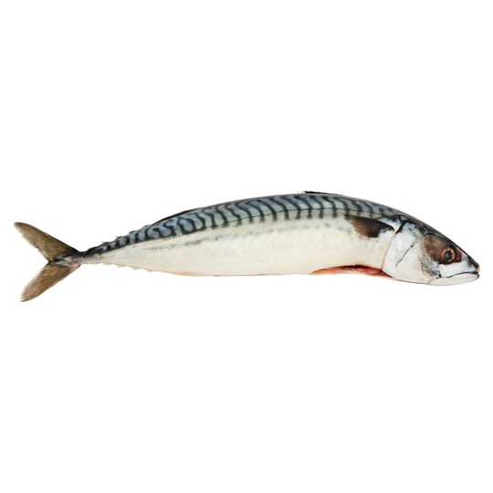Tesco Whole Mackerel Tesco Groceries