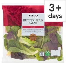 Iceberg & Round Lettuce - Tesco Groceries