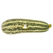 Results for “courgette” - Tesco Groceries
