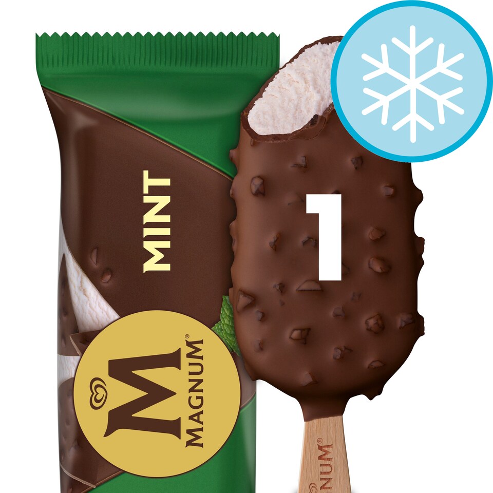 Magnum Mint Ice Cream Stick 100ml - Tesco Groceries