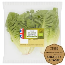 Results for “organic lettuce” - Tesco Groceries