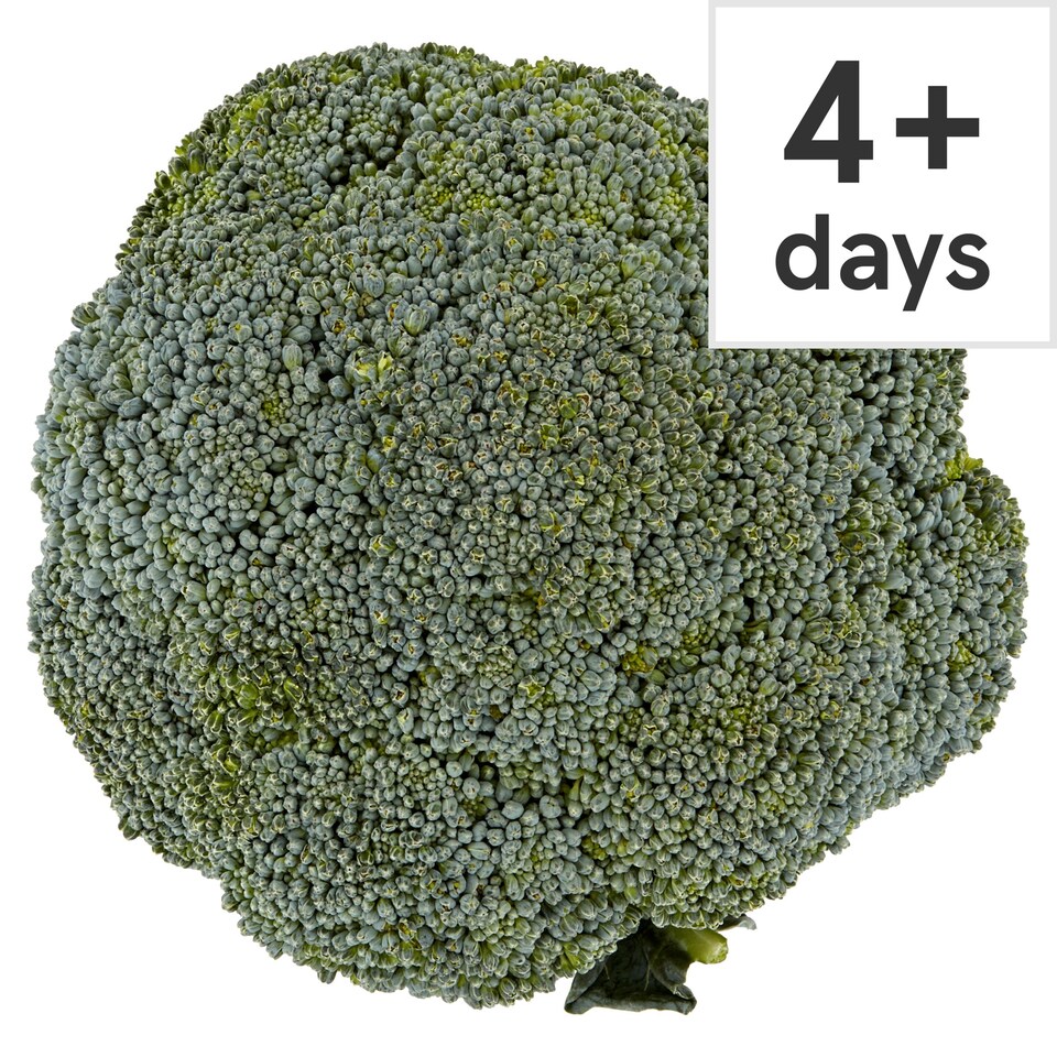 Tesco Large Broccoli Pack 500G - Tesco Groceries