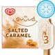Guuud Salted Caramel Greek Style Yoghurt Ice Cream Sticks 3x70ml ...