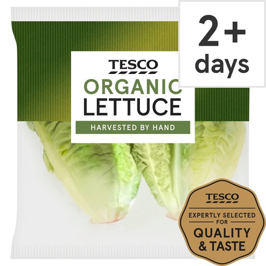 Tesco Organic Lettuce Each - Tesco Groceries