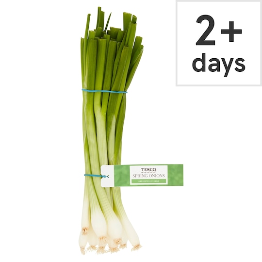 Tesco Bunched Spring Onions 100G - Tesco Groceries