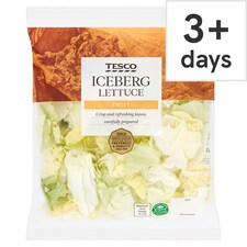 Iceberg & Round Lettuce - Tesco Groceries