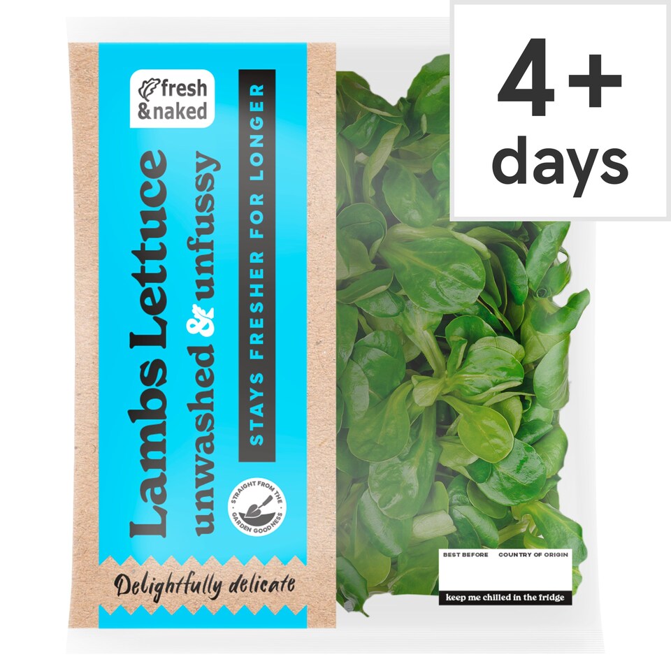 Fresh Lettuce