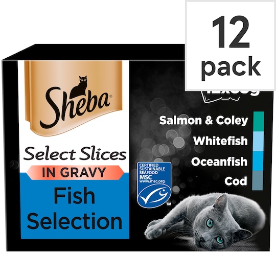 Sheba Cat Food Advert