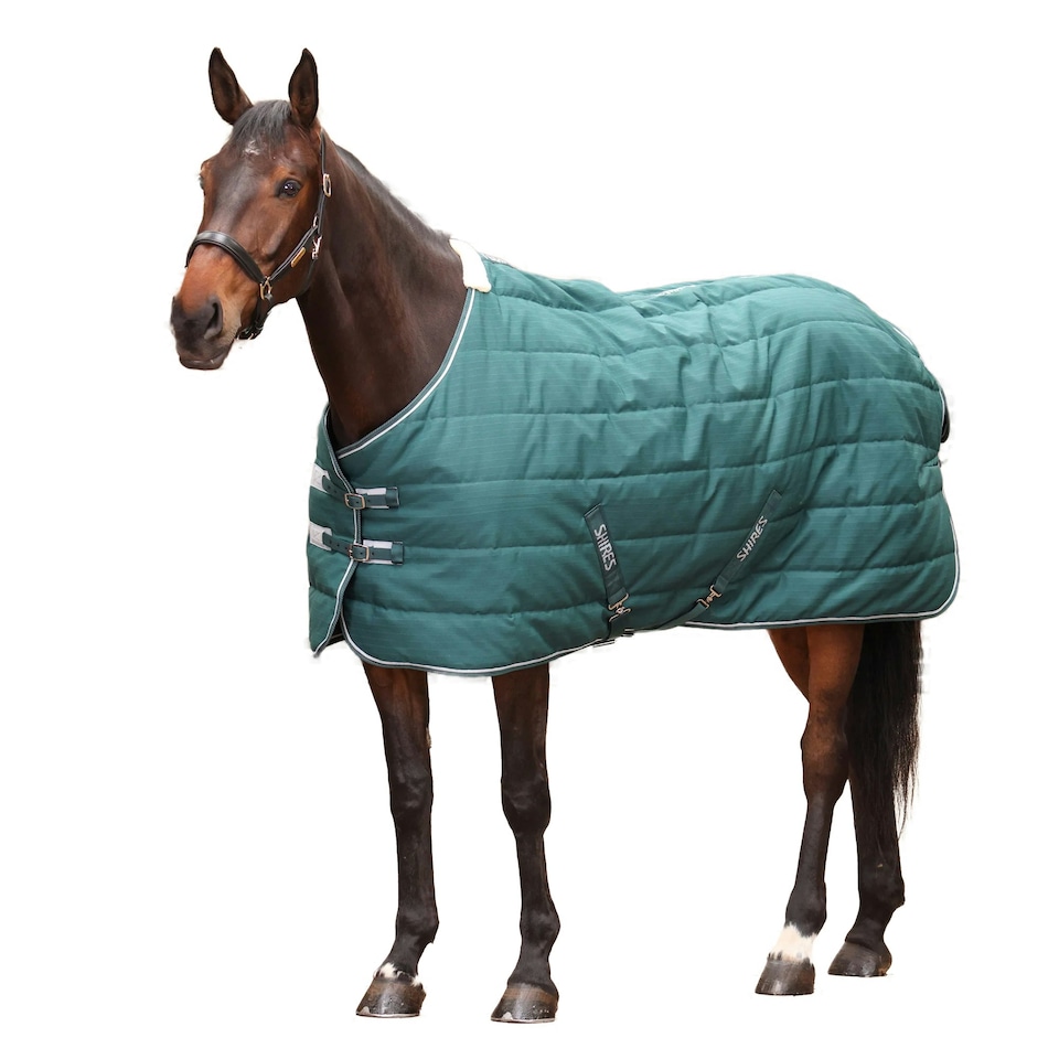 Shires Tempest Original 200 Standard-Neck Horse Stable Rug - Emerald ...