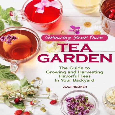 Growing Your Own Tea Garden - Tesco Groceries