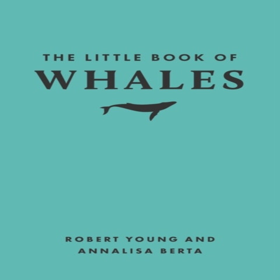 The Little Book Of Whales - Tesco Groceries