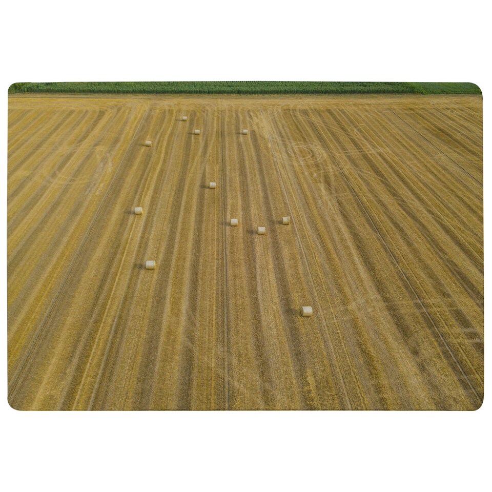Straw Bales Of Wheat Lying On Harvested Field Designer Rug | Multi ...