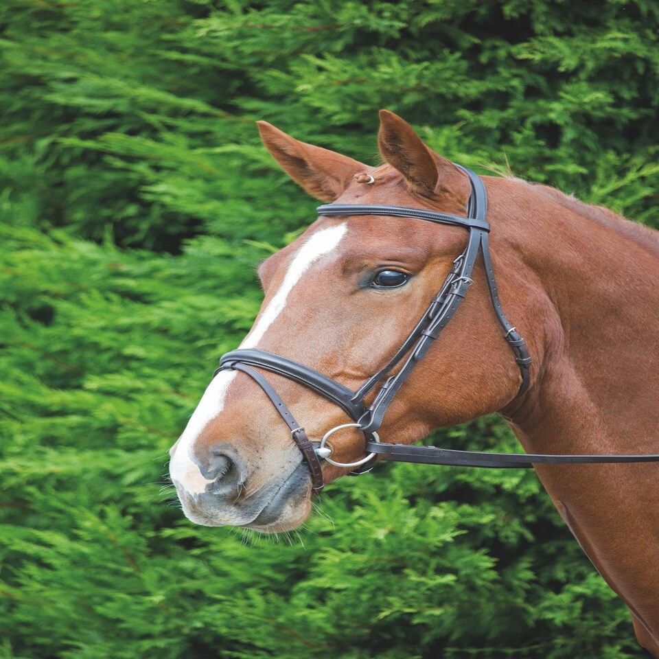 Shires Aviemore Comfort Fit Bridle Brown | Size: Small Pony Colour: H ...