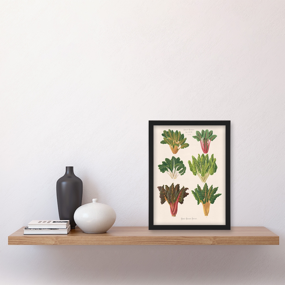 Ernst Benary Beet and Swiss Chard Vintage Botanical Framed Wall Art ...
