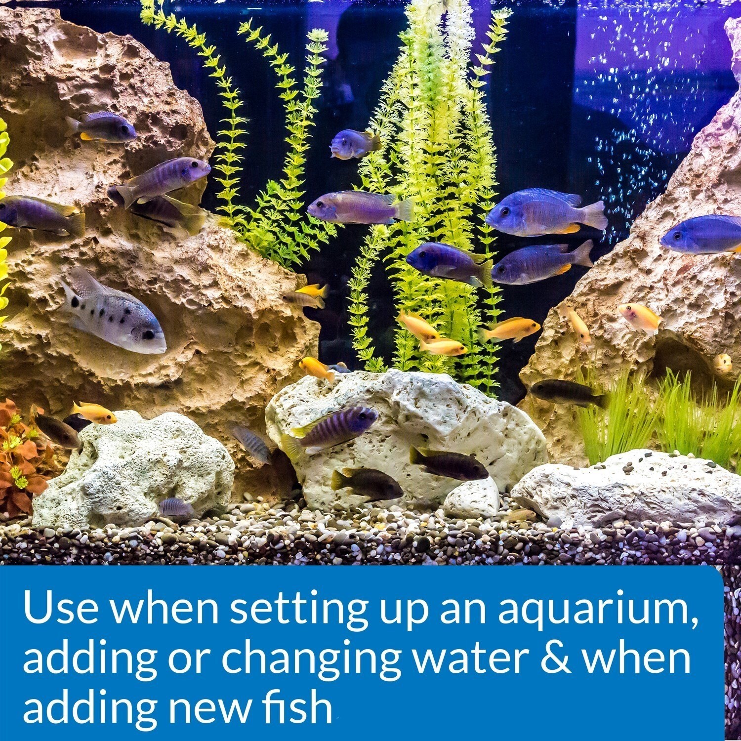 API Quick Start Nitrifying Bacteria 473ml (2-Pack) Aquarium Starter ...