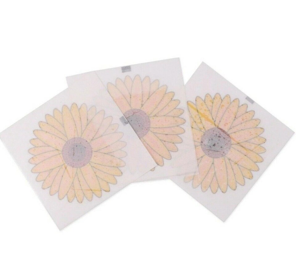 Window Sticker Fly Trap Insect Killer Paper Sticky Bug Catchers Indoor ...