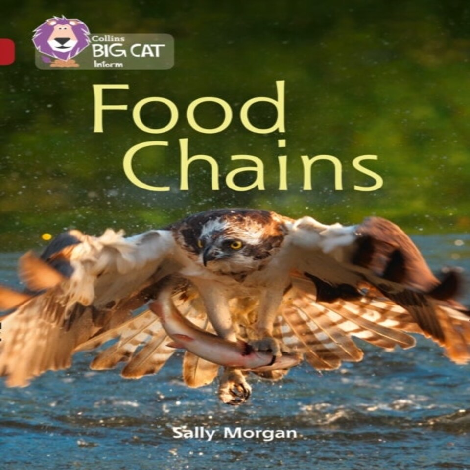 Collins Big Cat - Food Chains - Tesco Groceries