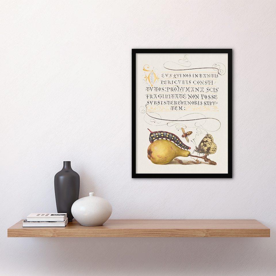 Model Book of Calligraphy Framed Wall Art Caterpillar Pear and ...