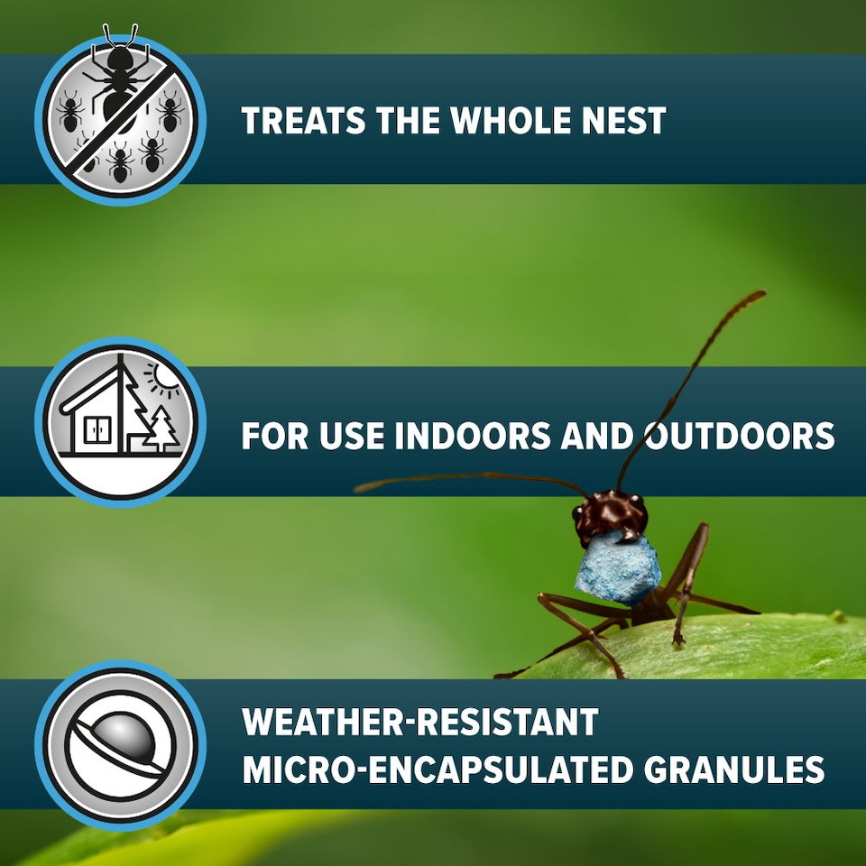 NOPE Ant Killer Bait Powder Granules 500g x 2 Pack for Indoors and ...