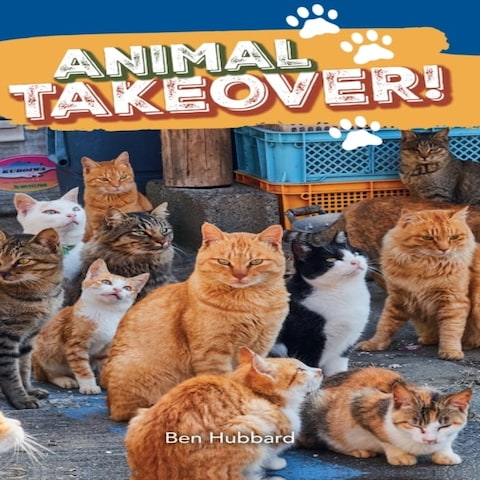 Animal Takeover! - Tesco Groceries
