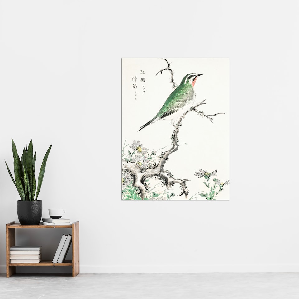 Ruby Throat Bird and Wild Camomile Vintage Wall Art Print Kashu 24x32 ...
