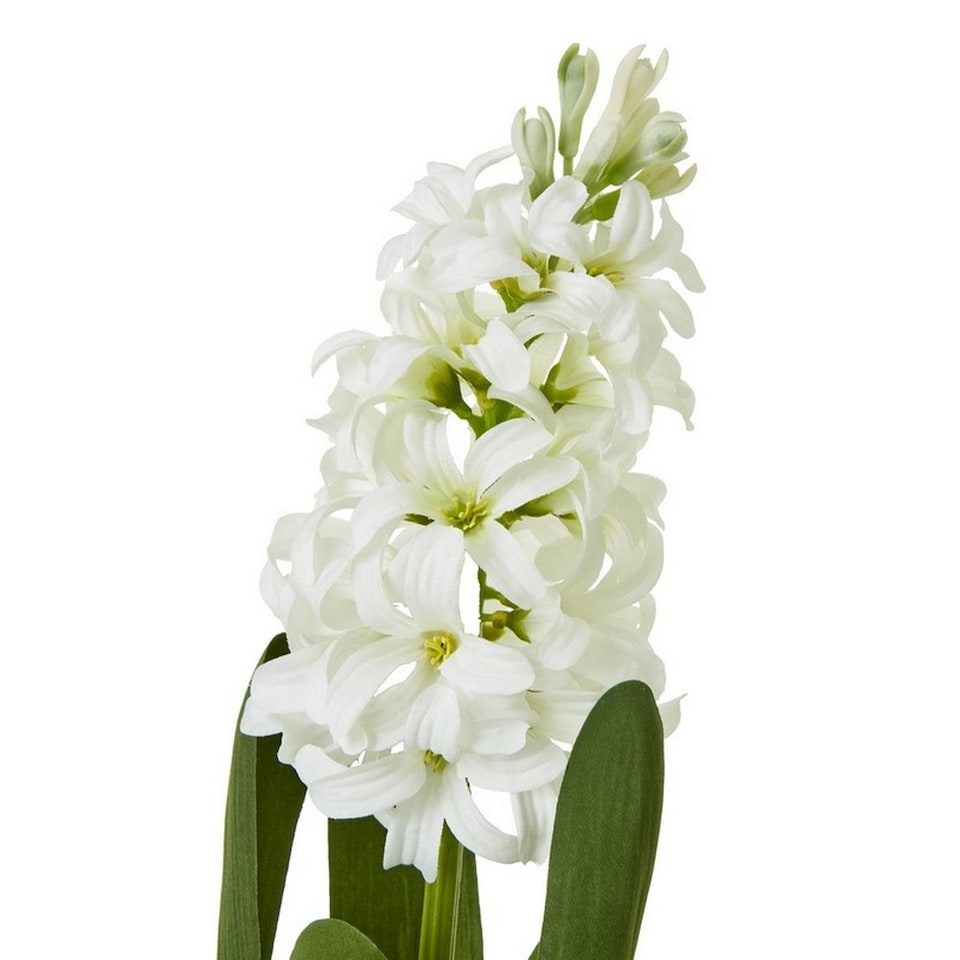 Hyacinth (Single Stem Flower) - Plastic - Height 44 cm - White - Tesco ...